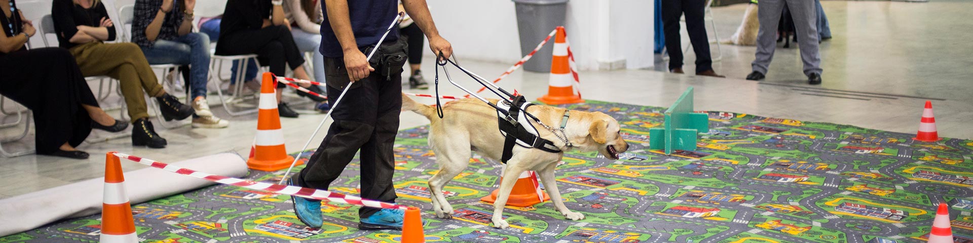 Σκύλοι Οδηγοί Ελλάδας | Greek Guide Dogs | Ελληνικό Κέντρο Εκπαίδευσης ...